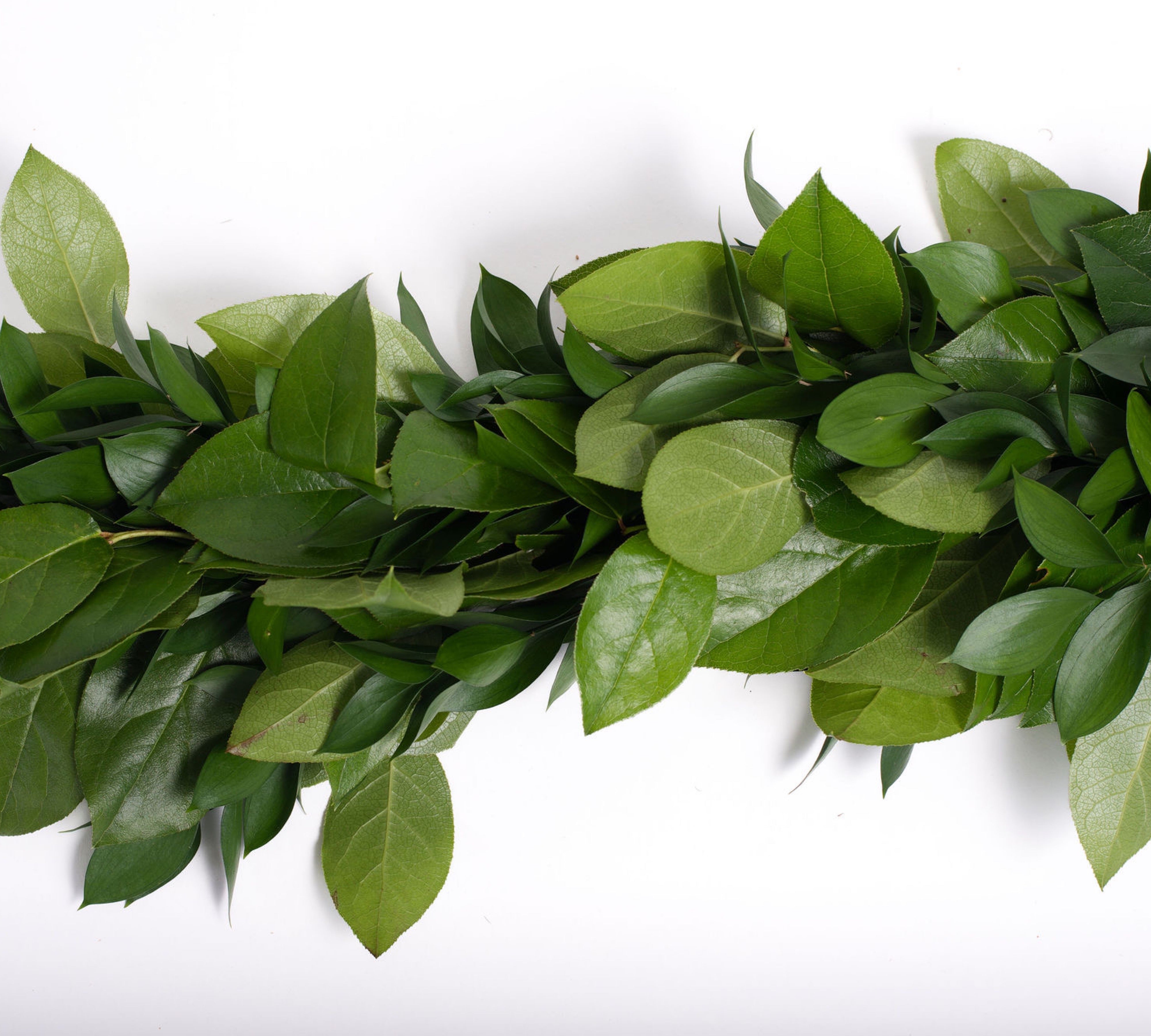 Salal & Ruscus Garland - Real Custom Garlands for Weddings & Events ...