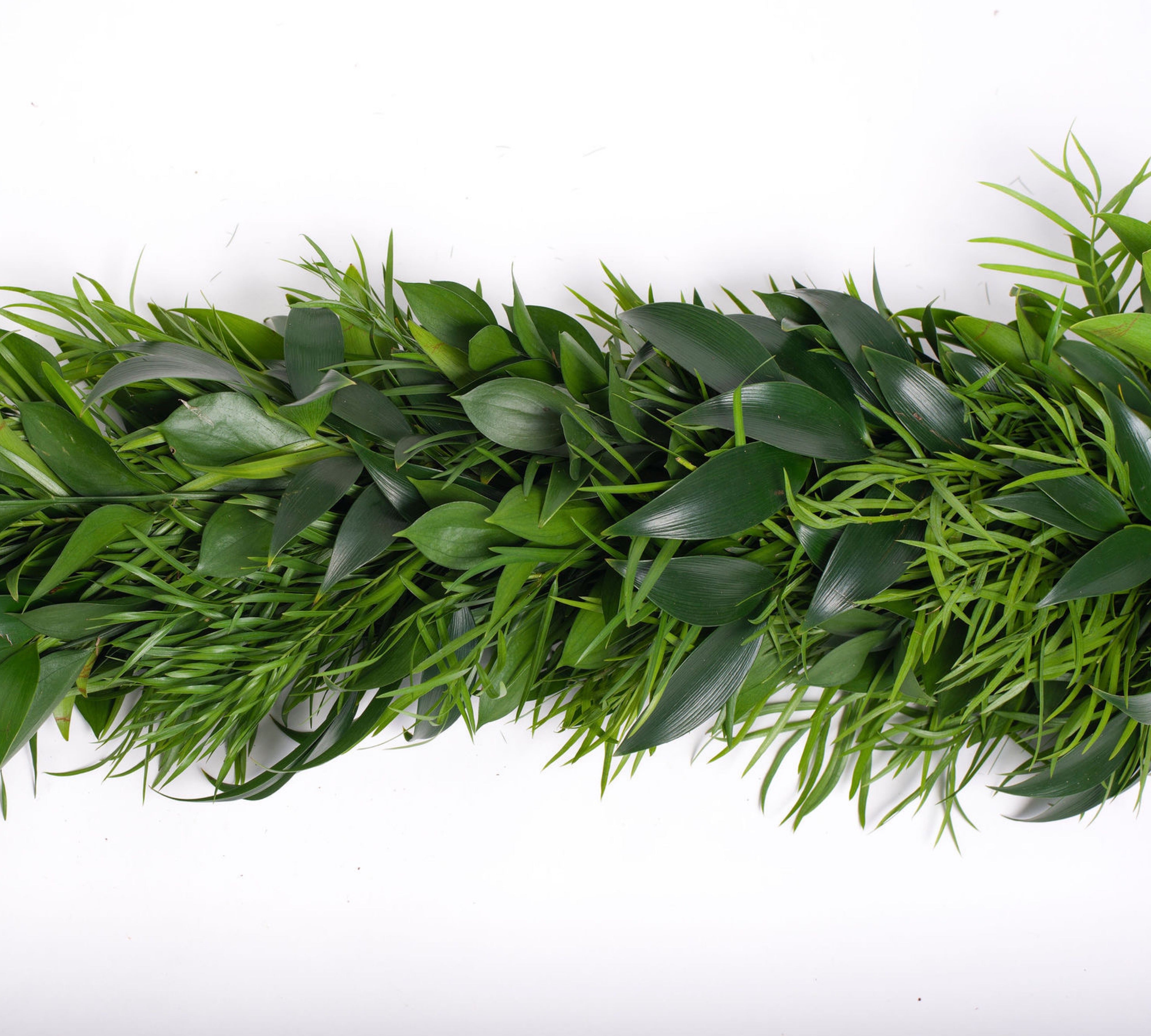 Nagi, Weeping Podocarpus, and Ruscus Garland – Quality Growers Floral ...