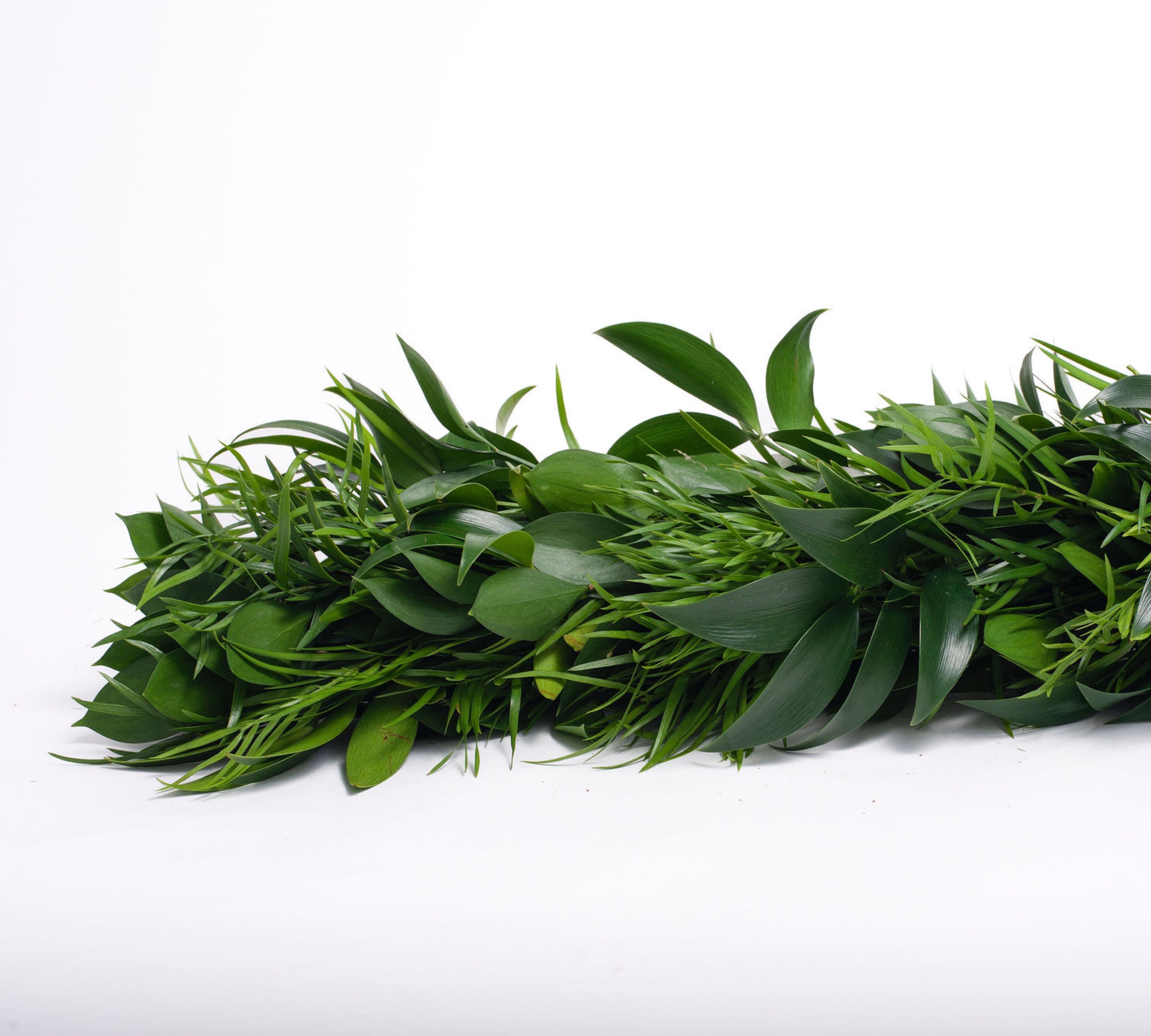 Nagi, Weeping Podocarpus, and Ruscus Garland – Quality Growers Floral ...