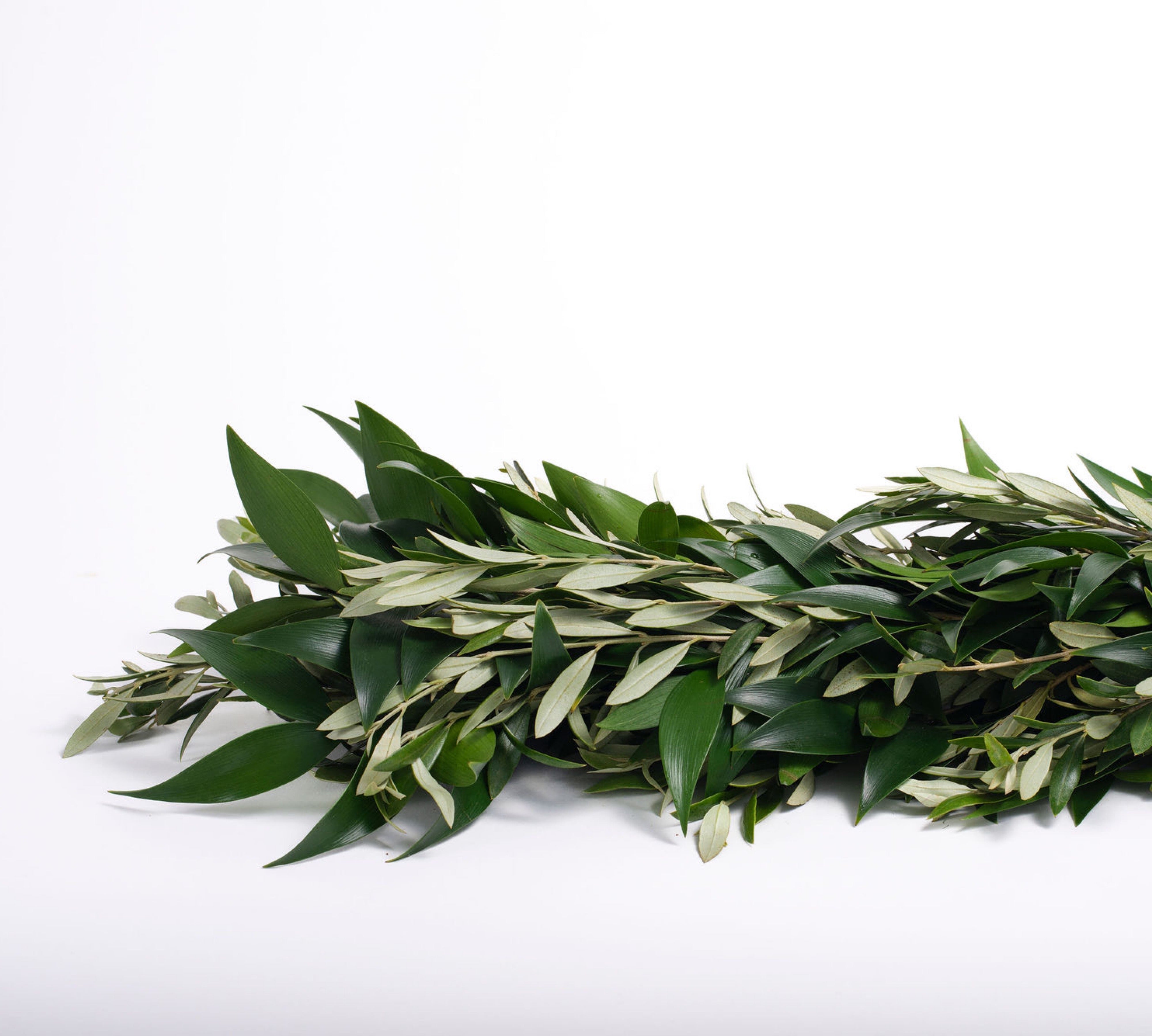 Nagi and Olive Leaf Garland – Quality Growers Floral Company