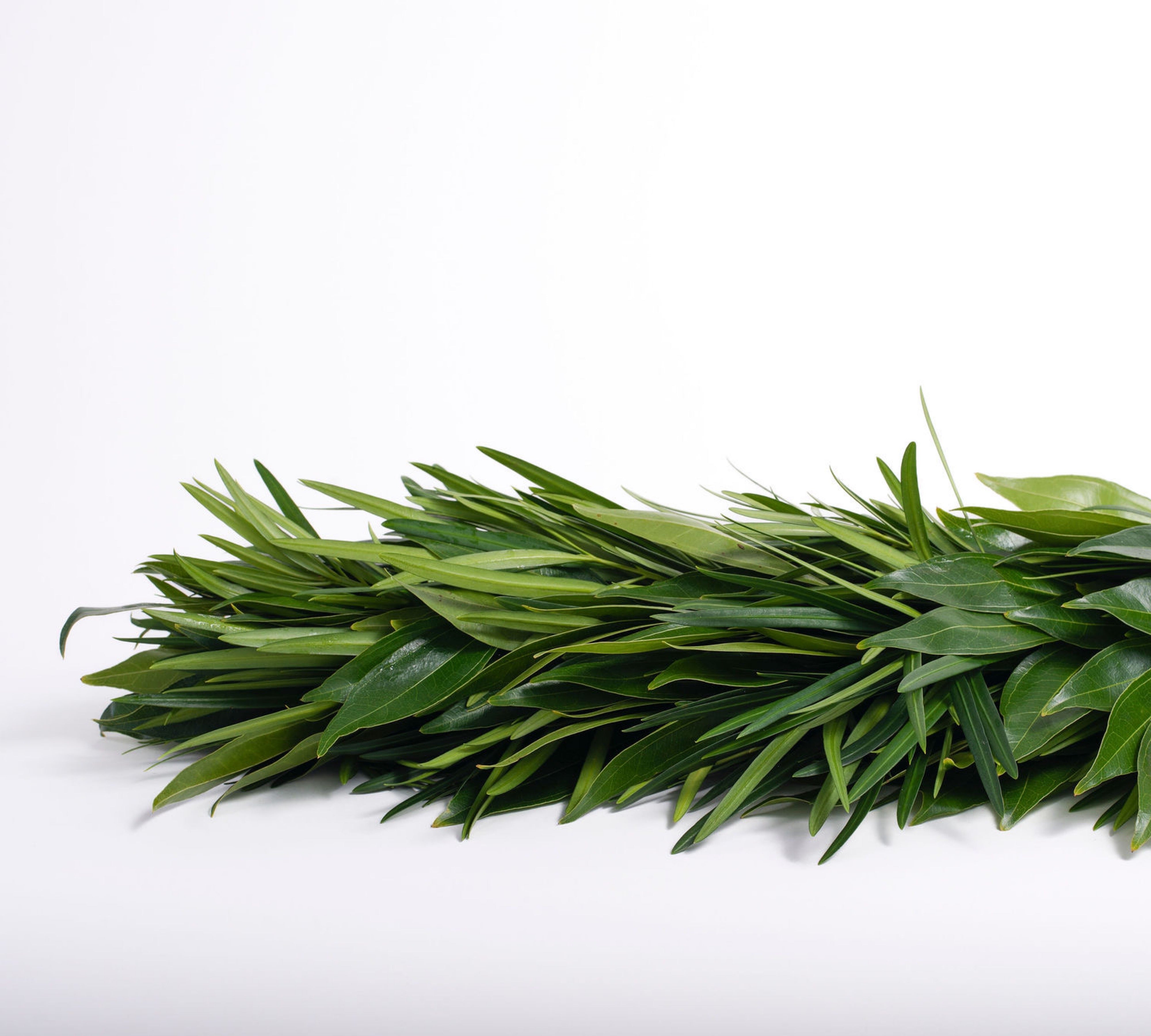 Cocculus and Podocarpus Garland – Quality Growers Floral Company