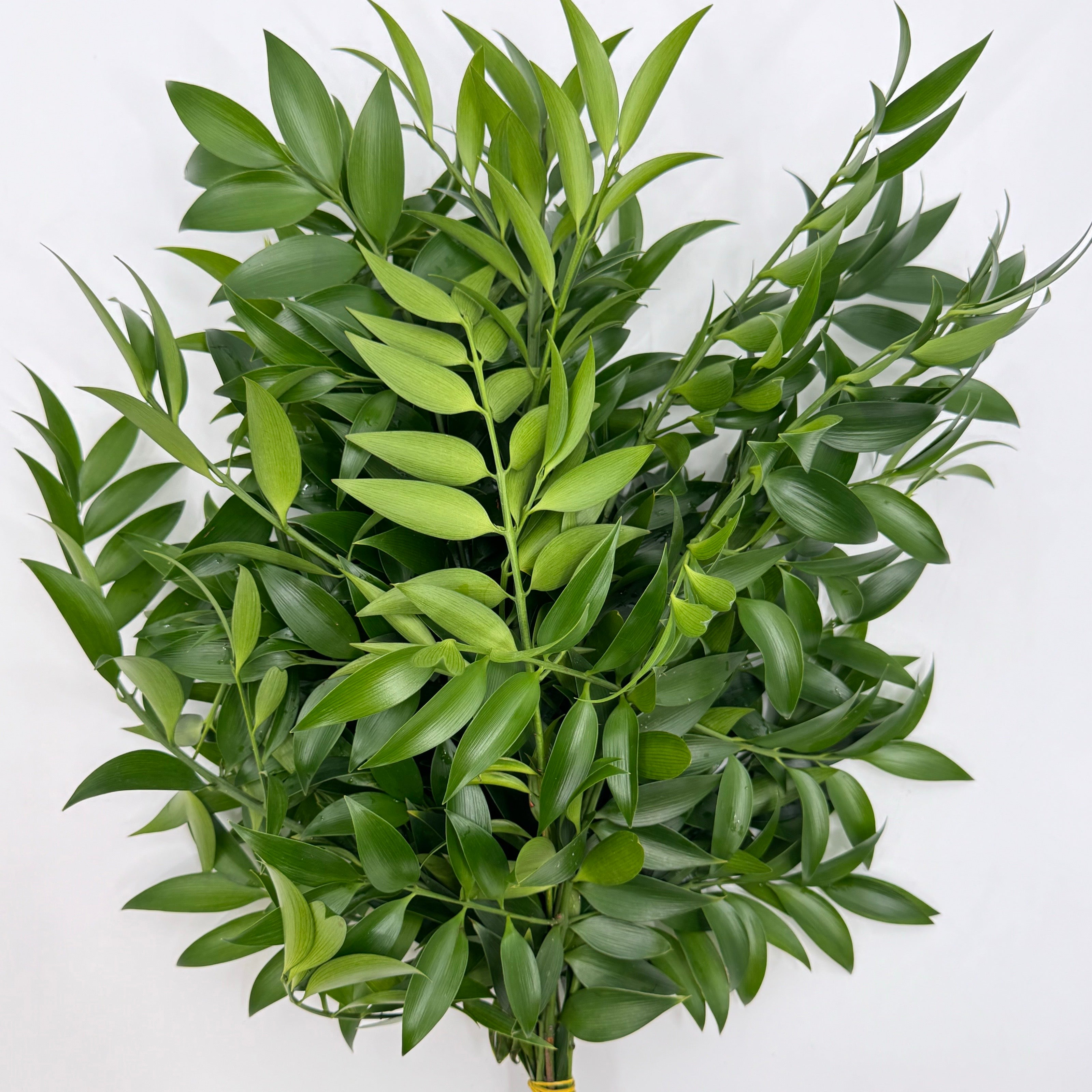 Nagi Bunches – Quality Growers Floral Company