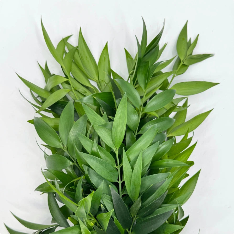 Nagi Garland – Quality Growers Floral Company