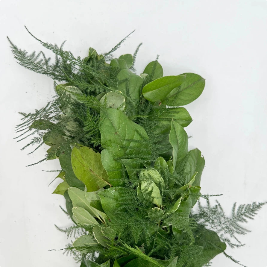 Salal, Variegated Pittosporum, and Plumosus Garland – Quality Growers ...